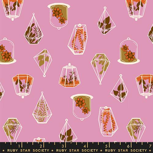 Calathea - Ruby Star Society - Terrarium - Kiss RS5183 12 – My Fabricology